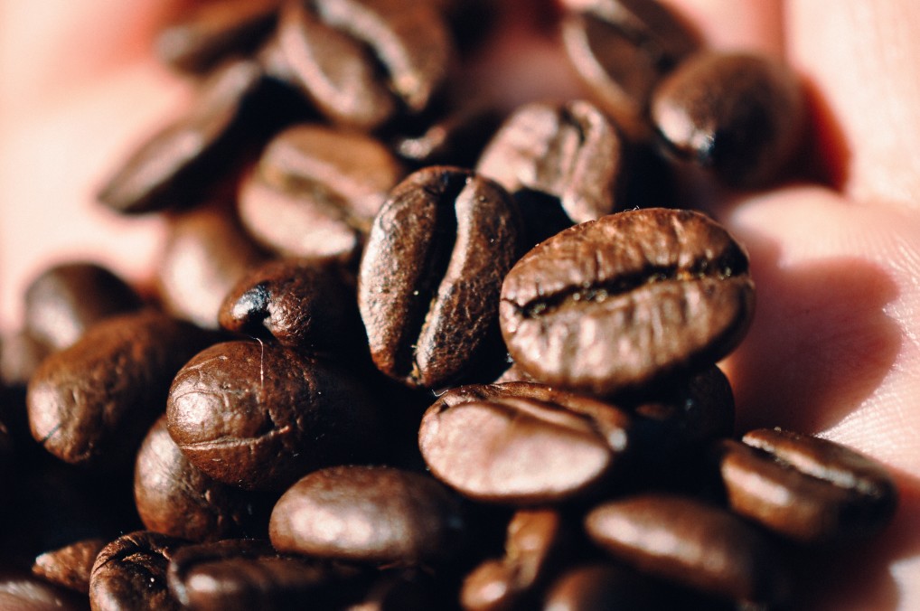 Tout savoir sur le café Arabica - Frenchcocotte